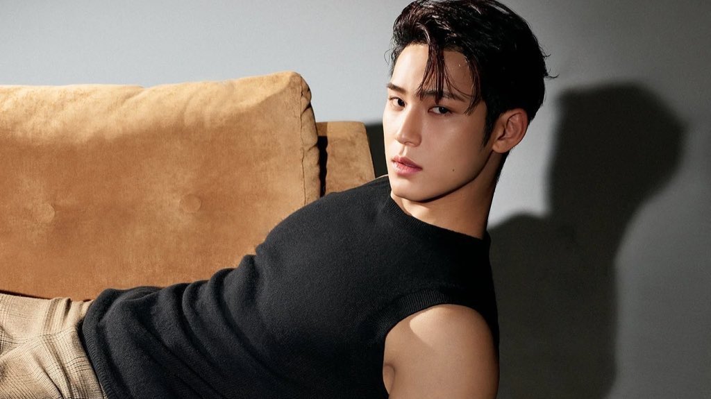 Mingyu Targeted by 'Deepfake Rumor': Victim of False Rumors and Blind ...
